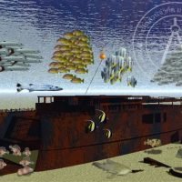 King Cruiser Wreck Diving Phuket - Phuket Dive Tours